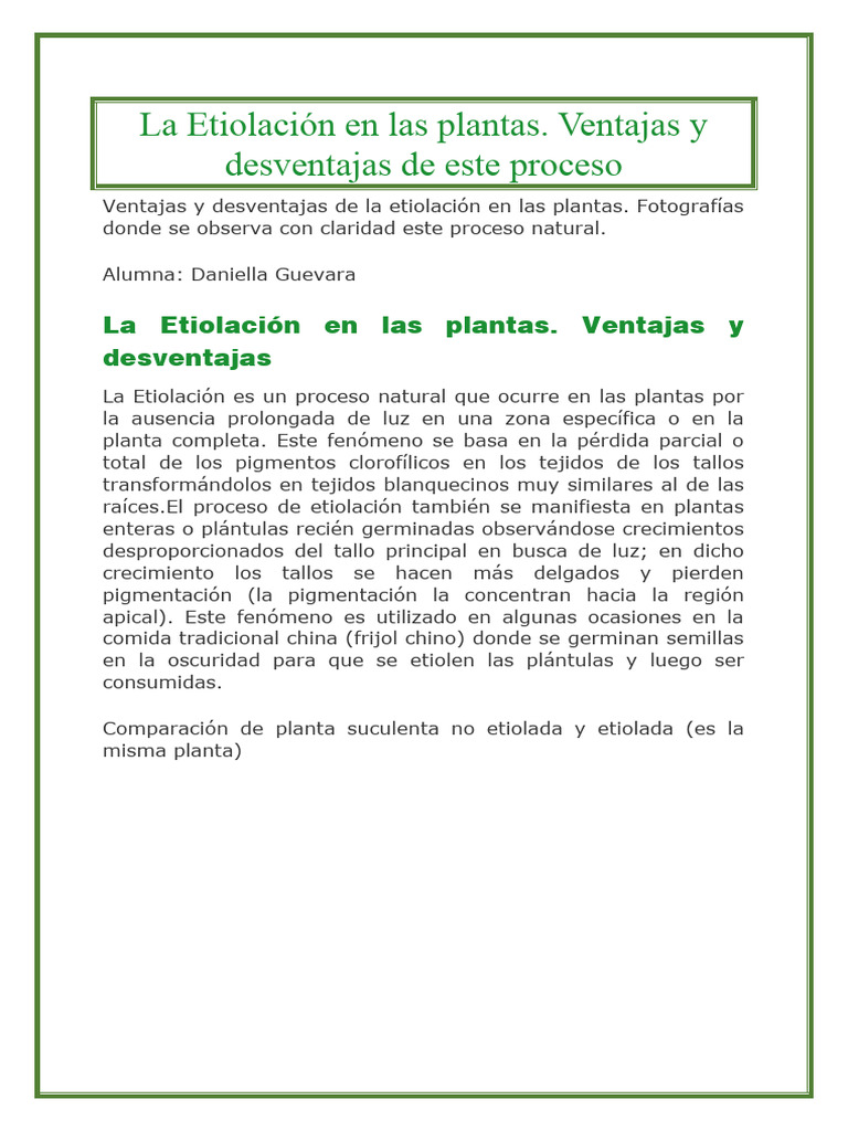 La Etiolación en Las F | PDF | Plantas | Raíz