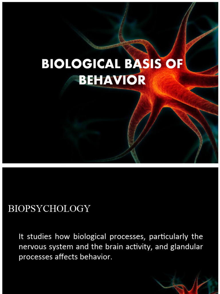 Biological Basis of Behavior | PDF | Neuron | Nervous System