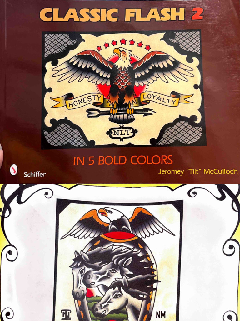 Classic Flash V2 | PDF