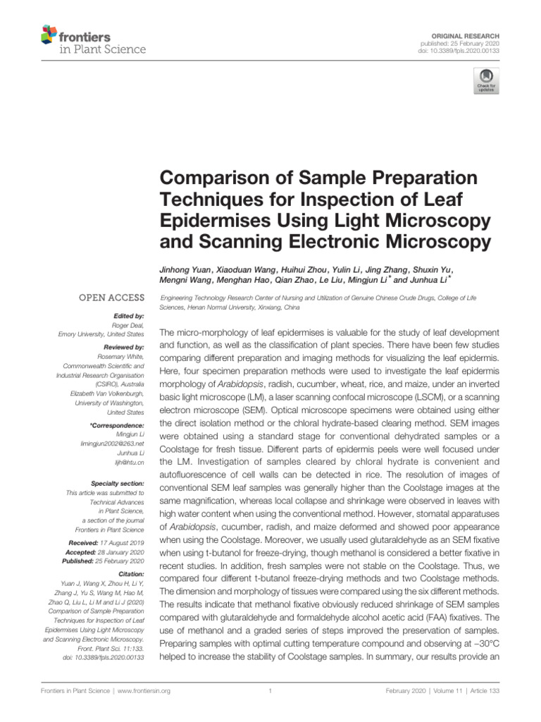 Leaf Microscopy Techniques Compared | PDF | Confocal Microscopy ...