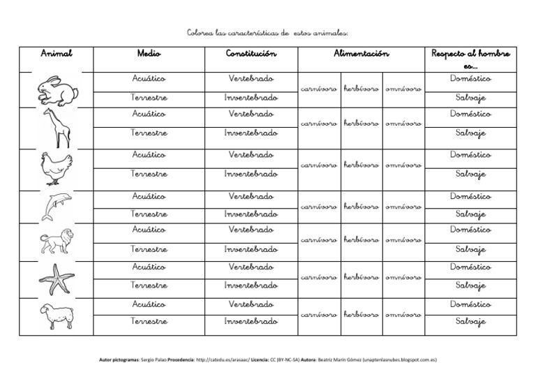 Ficha Clasificación de Animales | PDF | Invertebrado | Zoología