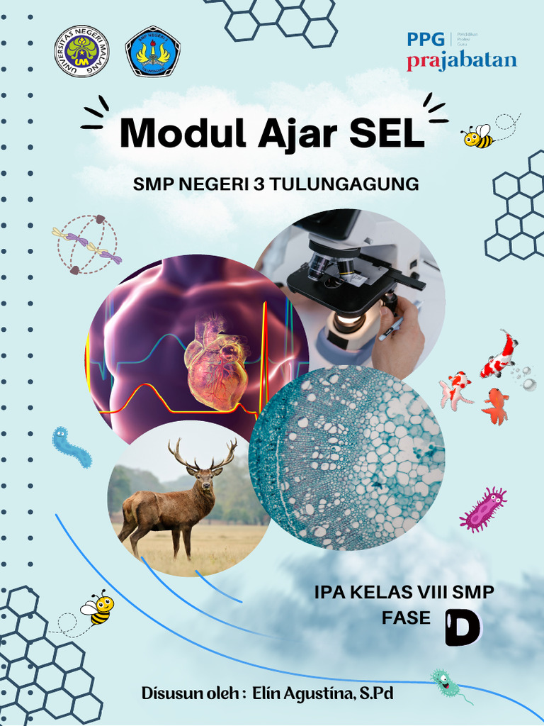 Modul Ajar SEL VIII - ELIN AGUSTINA | PDF | Karier & Perkembangan | Pengembangan Diri
