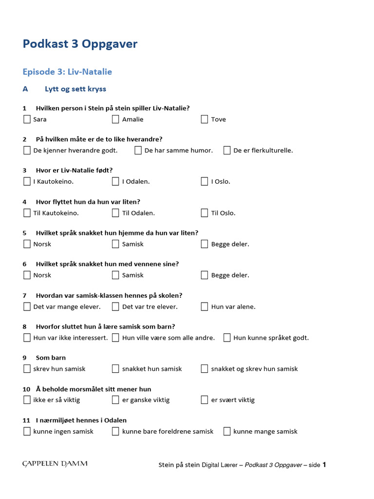 Podkast 3 Oppgaver PDF | PDF