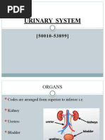 Coding Fact Sheet For Urodynamic Procedures. 2017 v2 | PDF | Urination ...