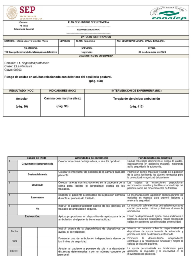 Movimeinto Ambular | PDF | Enfermería | Cuidado de la salud