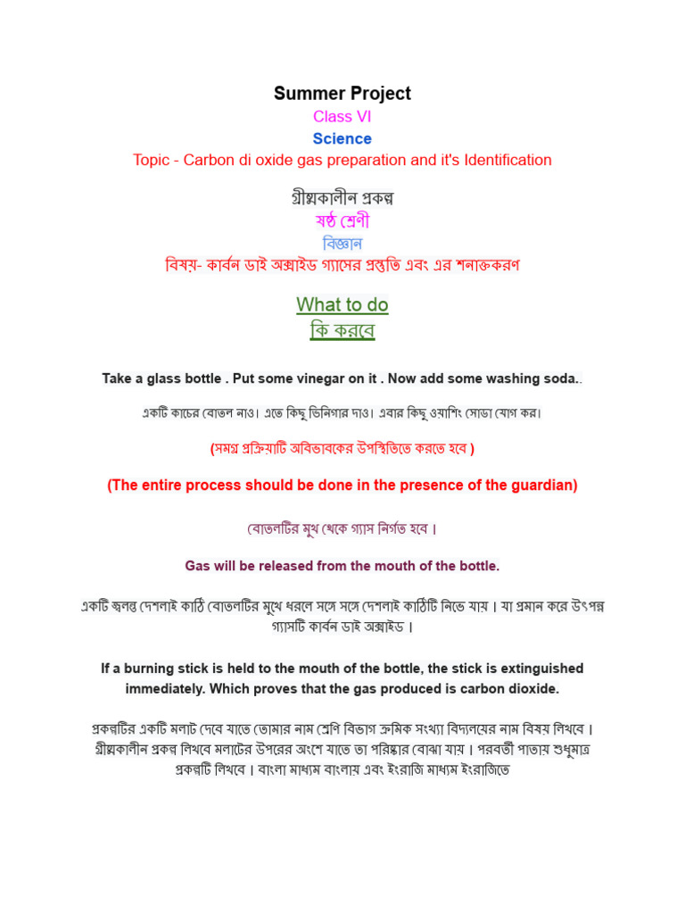 Summer Project 2024 | PDF