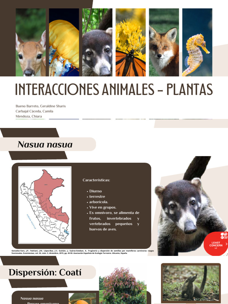 Interaccion Animal-Planta | PDF | Organismos | Interacciones biológicas
