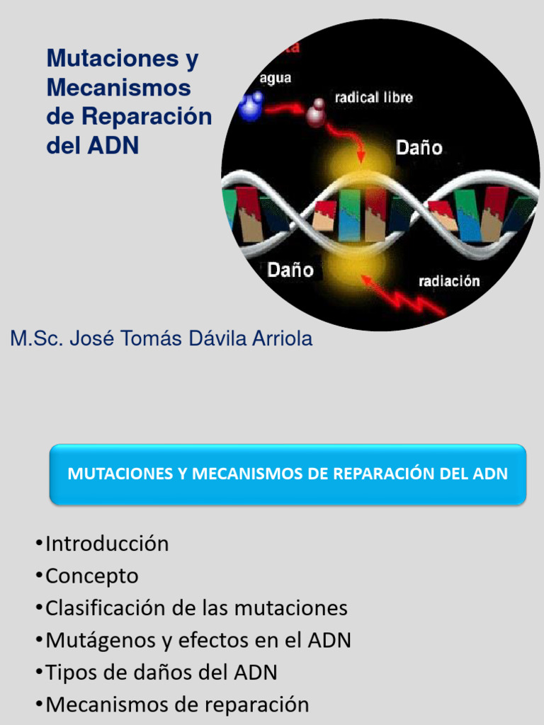 Mutaciones y Mecanismos de reparación del ADN ...