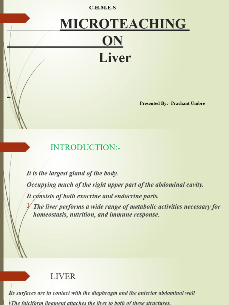 Anatomy Microteaching ? | PDF | Liver | Pancreas