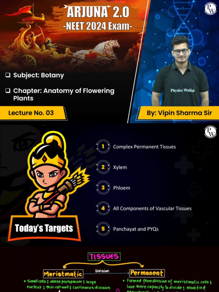 anatomy of flowering plant part 3 | PDF