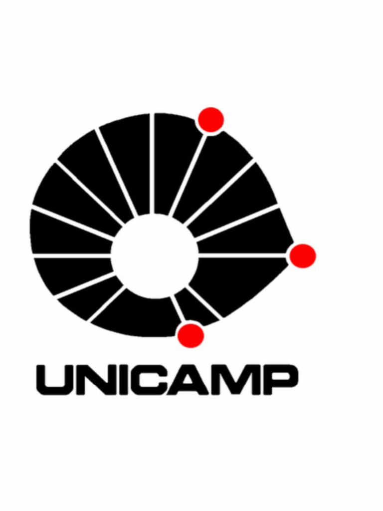 Logo-Unicamp | PDF