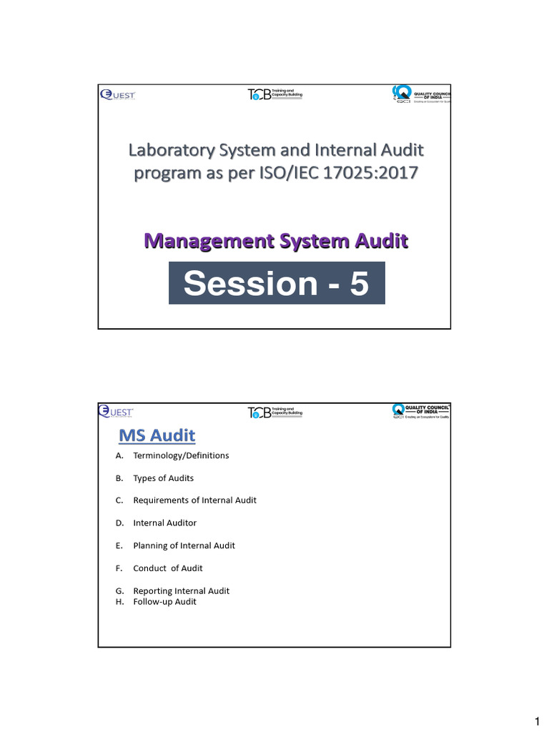 Session - 5 (Internal Audit) | PDF | Audit | Internal Audit