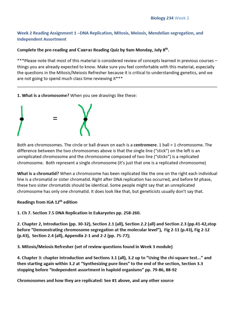 234-951 Week 2 Reading Assignment 1 - DNA Replication | PDF | Meiosis | Chromosome