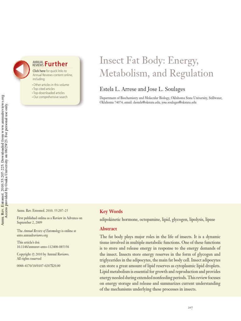 0.insect Fat Body Energy, Metabolism, and Regulation | PDF | Glycogen ...