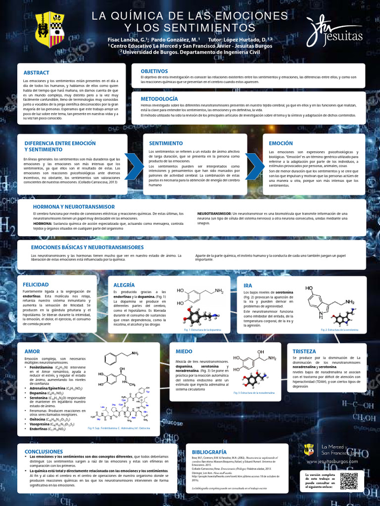 La Química de Las Emociones y Los Sentimientos Poster 1 | PDF ...