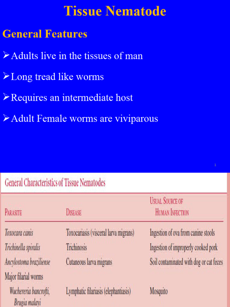 Tissue Nematode MD 15 10 02 | PDF | Inflammation | Immunology