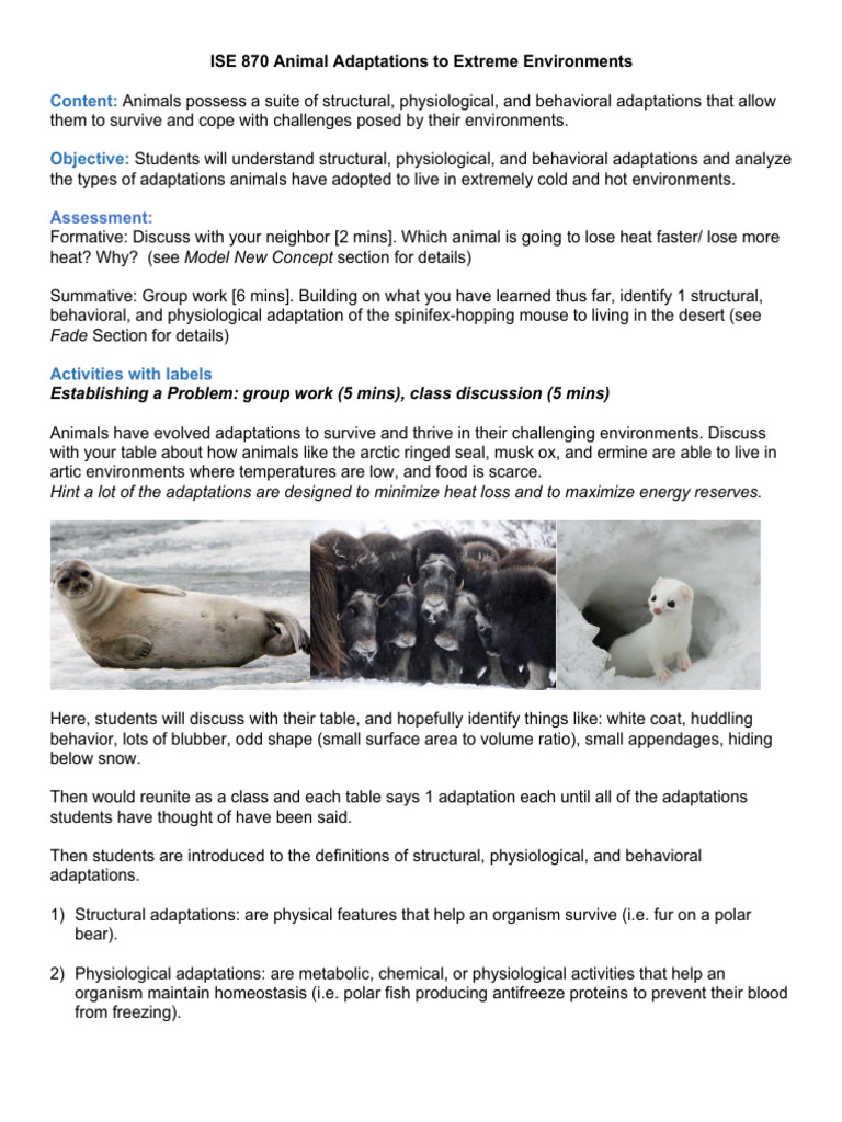 mini_lesson_animal adaptations | Download Free PDF | Adaptation | Heat ...