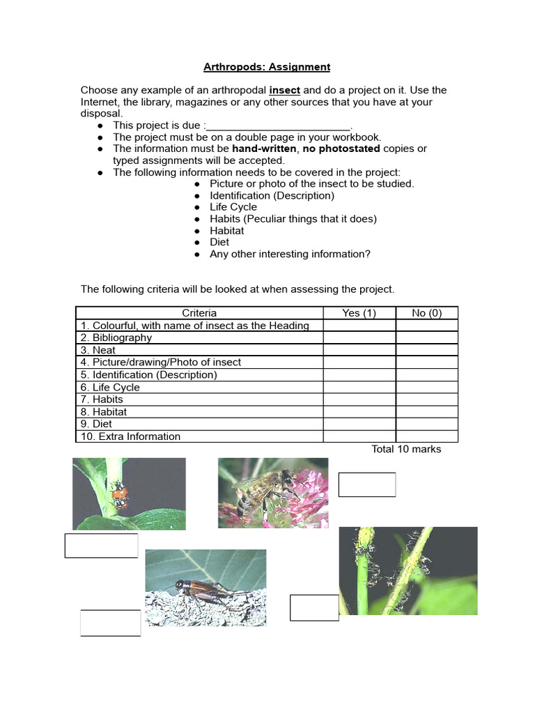 Arthropod Project Guidelines | PDF
