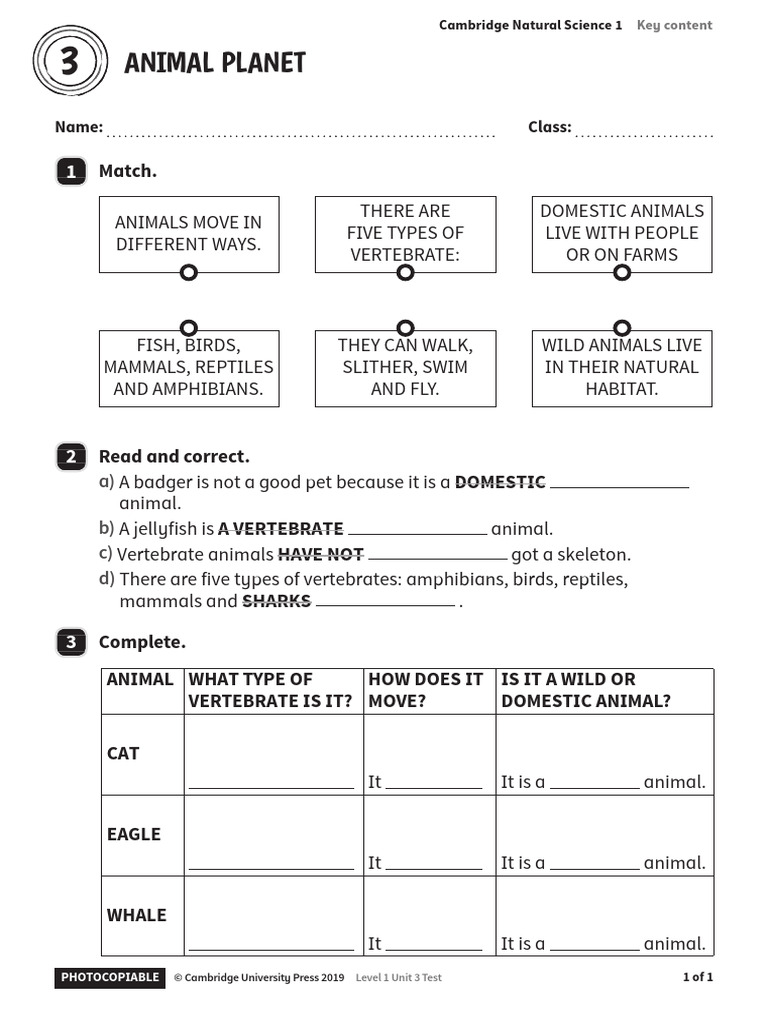 Unit 3 Sciences Worksheets | PDF | Mammals | Reptile
