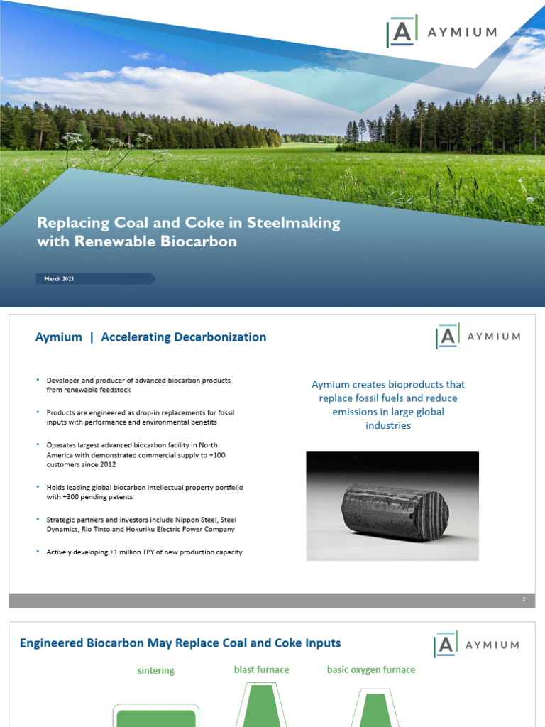 AYMIUM-Green Steel 3-23-23 | PDF | Climate Change Mitigation | Nature