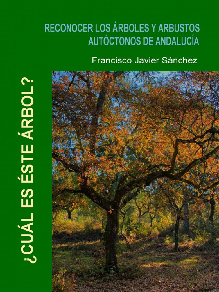 LIBRO Cual Es Este Arbol, Reconocer Los Arboles y Arbustos Autoctonos de Andalucia | PDF | Tallo ...