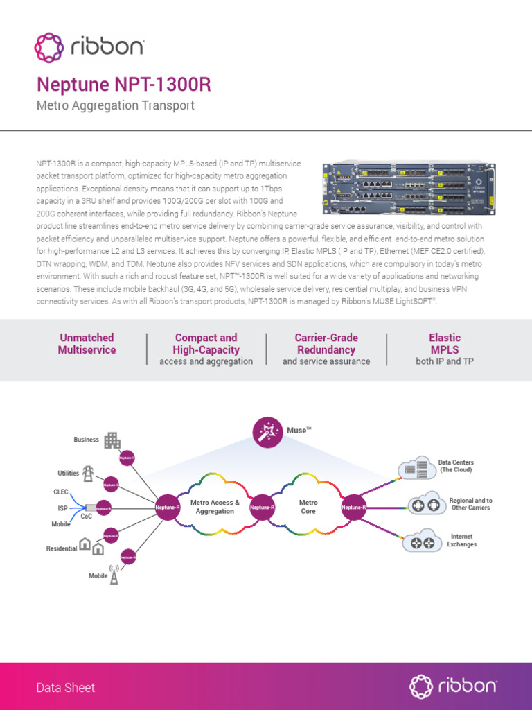 Neptune NPT-1300 Datasheet | PDF | Networking | Multiprotocol Label ...