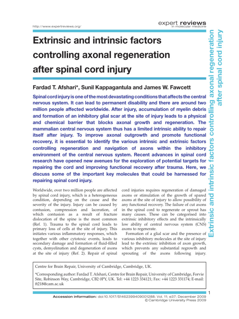 Extrinsic and intrinsic factors controlling axonal regeneration after ...