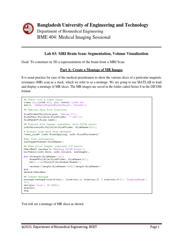 MRI Brain Scan Segmentation Guide | PDF | 3 D Computer Graphics ...