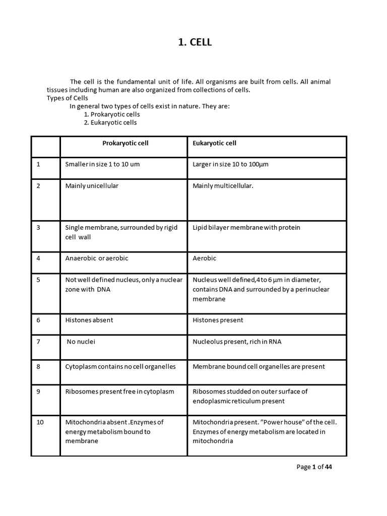 Cell Notes | PDF | Cell Nucleus | Cell (Biology)