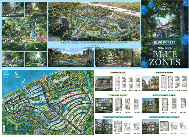 Leaflet - Blue Forest - Preview | PDF