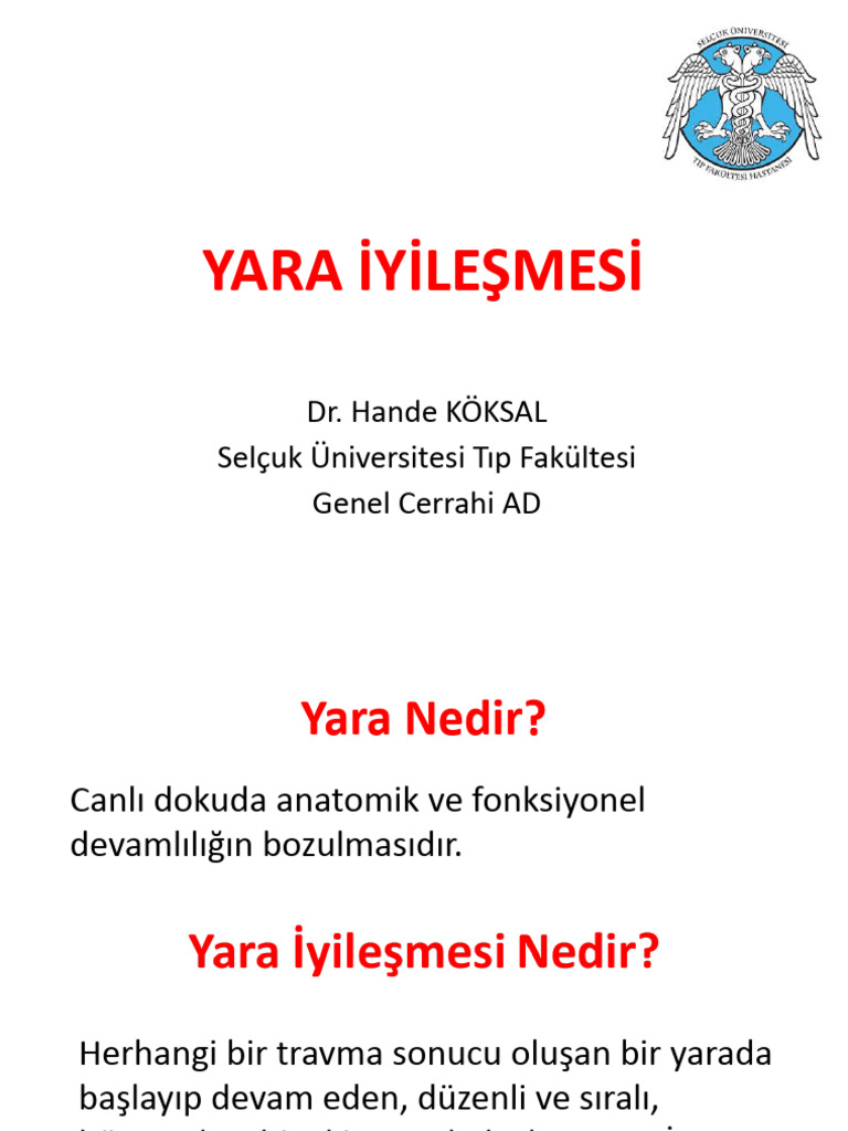 YARA. 3 Sınıf Ders | PDF
