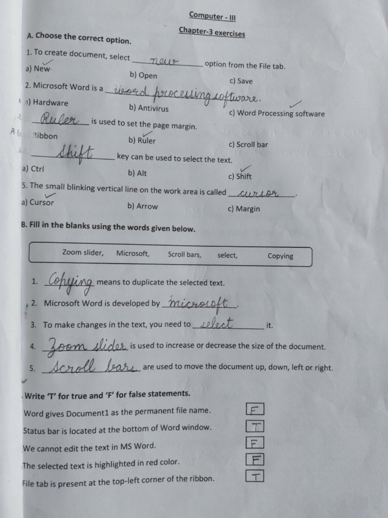 C3- Lesson 3 worksheets | PDF