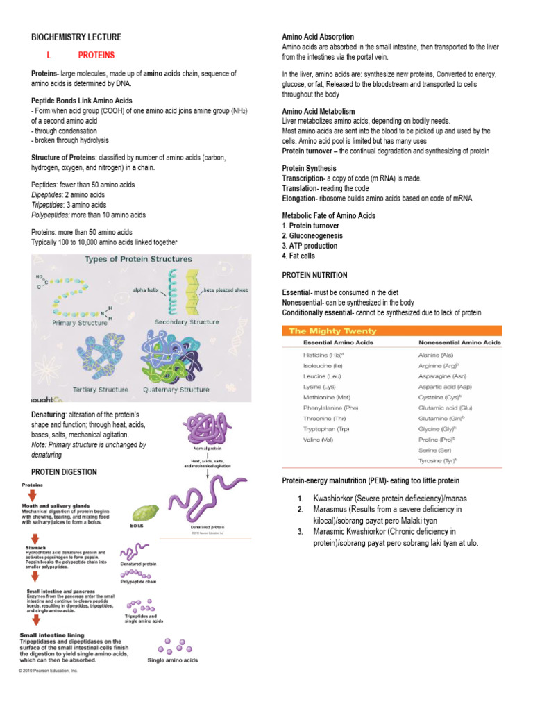 BIOCHEMISTRY-LECTURE_REV | PDF | Carbohydrates | Metabolism