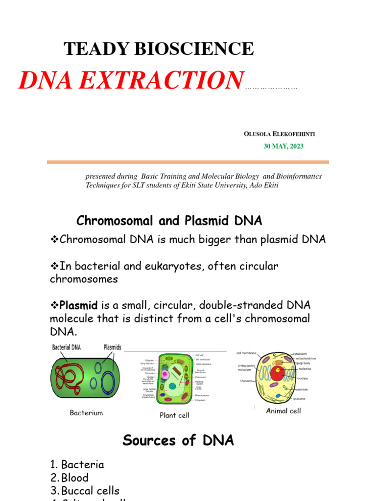 DNA EXTRACTION | PDF | Genetics | Macromolecules