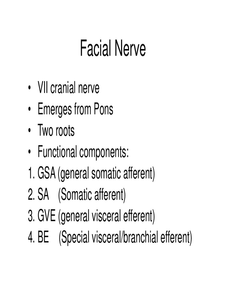 Facial nerve | PDF | Human Anatomy | Anatomy