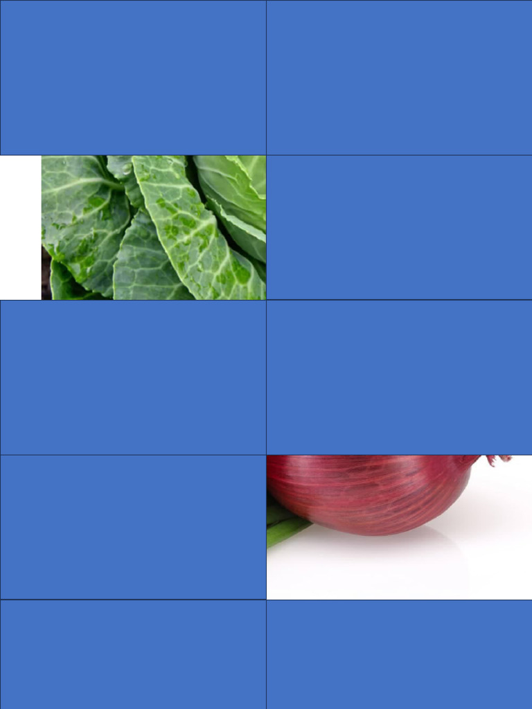 Es3-Whats This | PDF