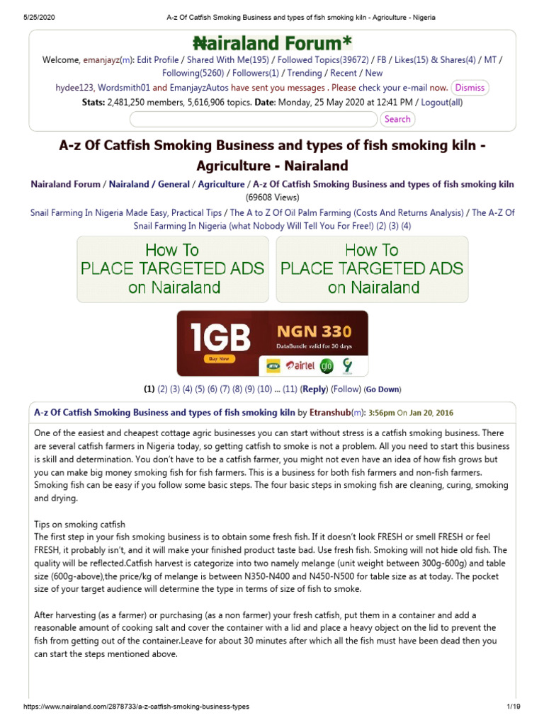 A-Z of Catfish Smoking Business and Types of Fish Smoking Kiln ...