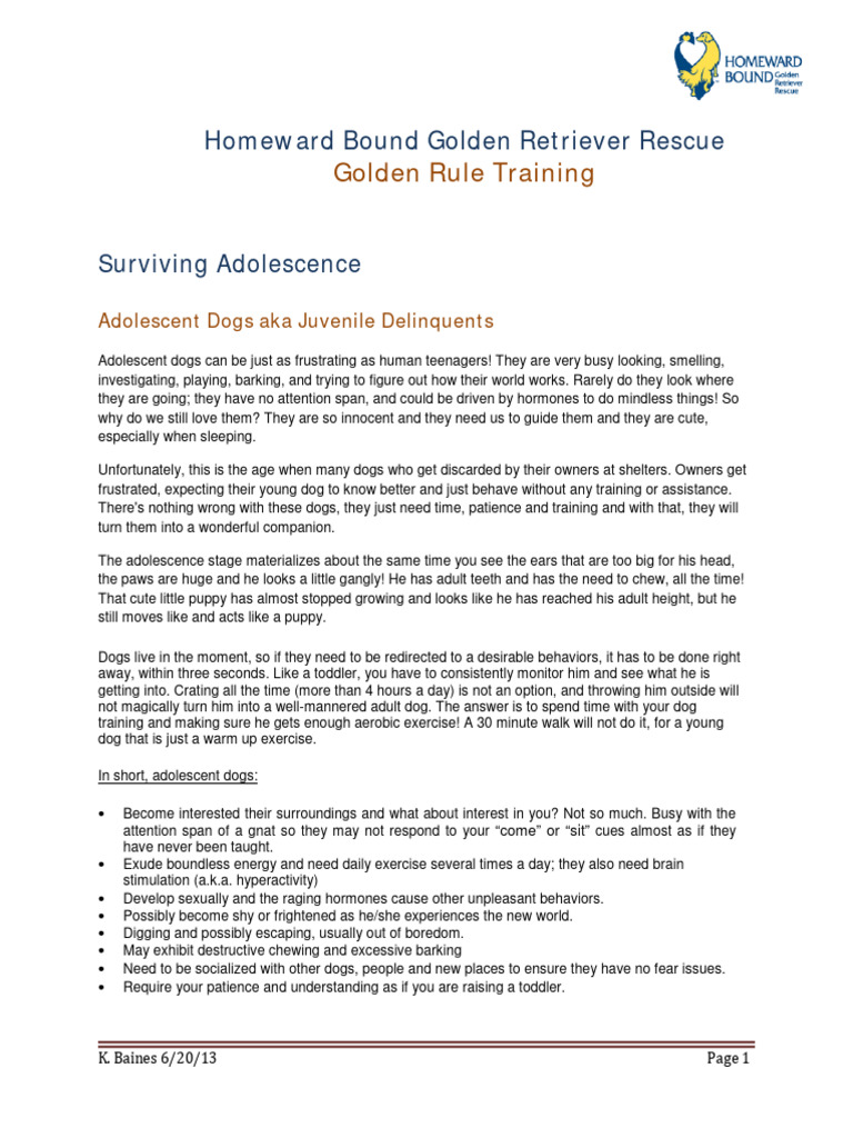 Surviving Adolescence | PDF | Dog Training | Animal Training