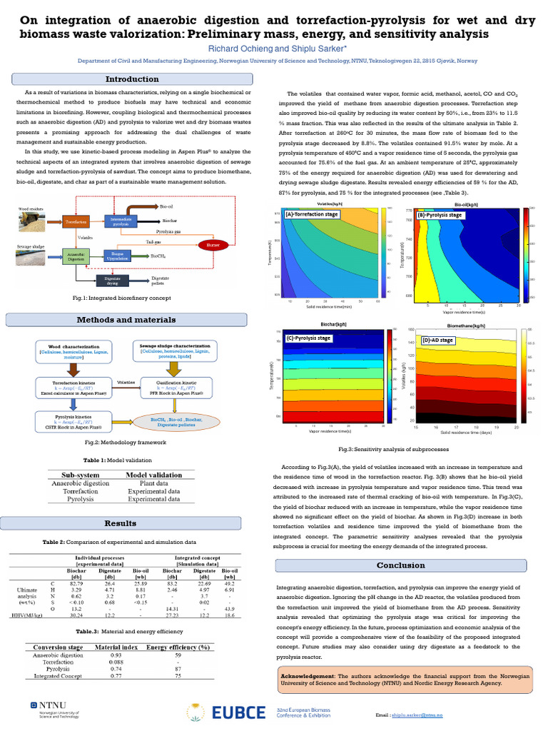 Feasibility of Integrated Biorefineries | PDF | Pyrolysis | Anaerobic Digestion