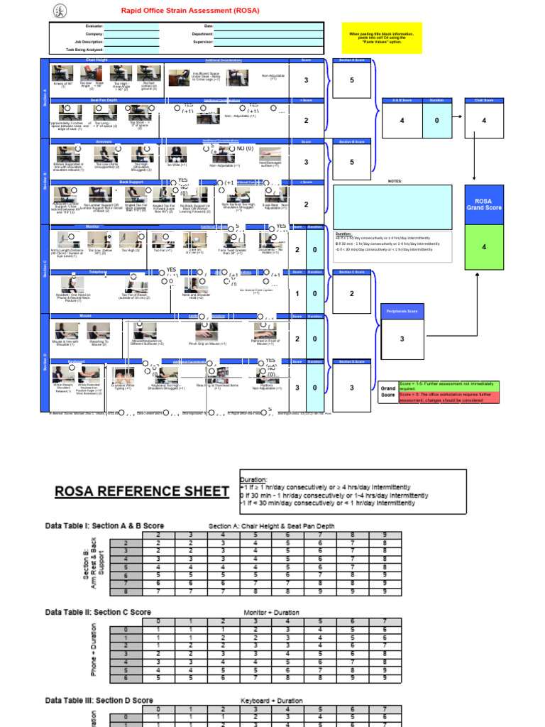 Rosa Excel | PDF | Workplace