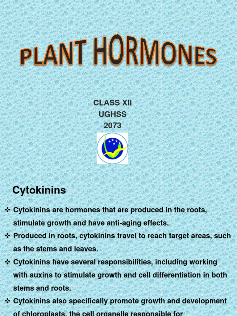 Plant Hormones Final 2 | PDF | Plant Hormone | Seed
