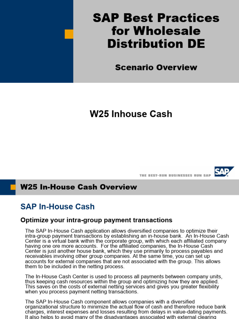 Documents - Tips w25 in House Cash Overview en de | PDF | Cash | Banks