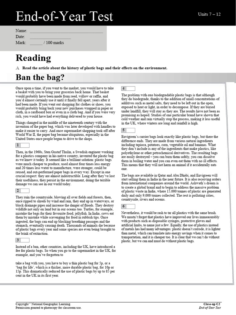 C2 Editable End-of-Year Test 3 | PDF | Dyslexia | Plastic