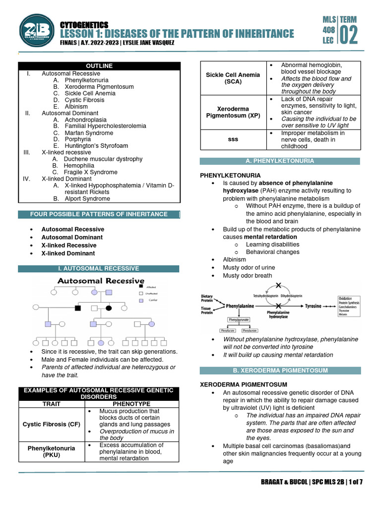 1.diseases of The Patterns of Nheritance SPC MLS 2B Cytogen | PDF ...