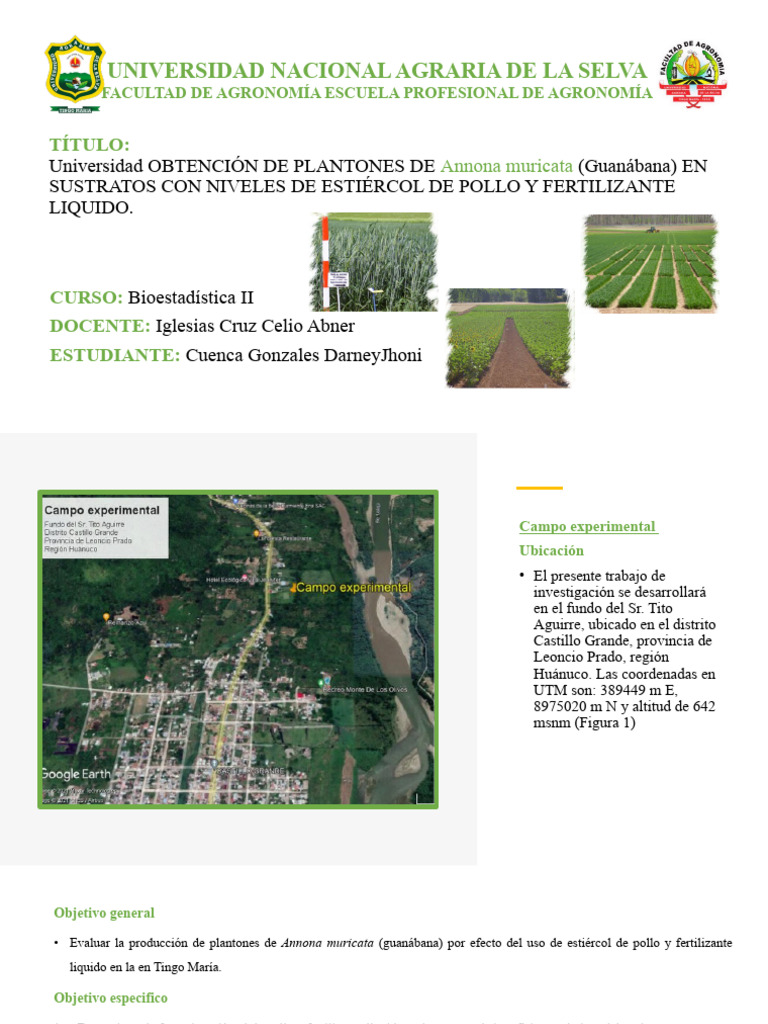 Ppt Cuenca | PDF | Diseño de experimentos | Estadísticas