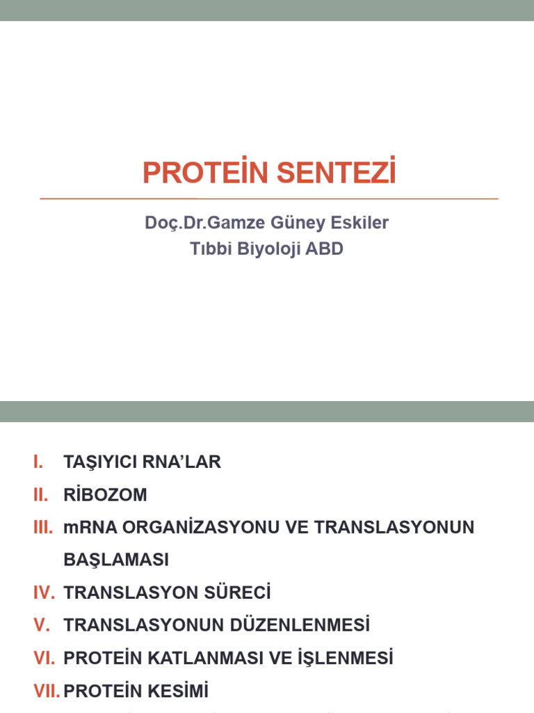 7.ders Protein Sentezi | PDF