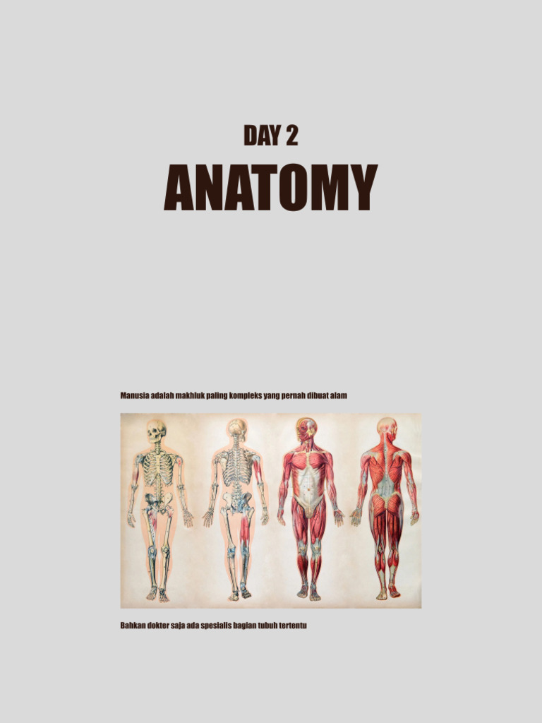 WBA Mini Bootcamp Day 2 | PDF