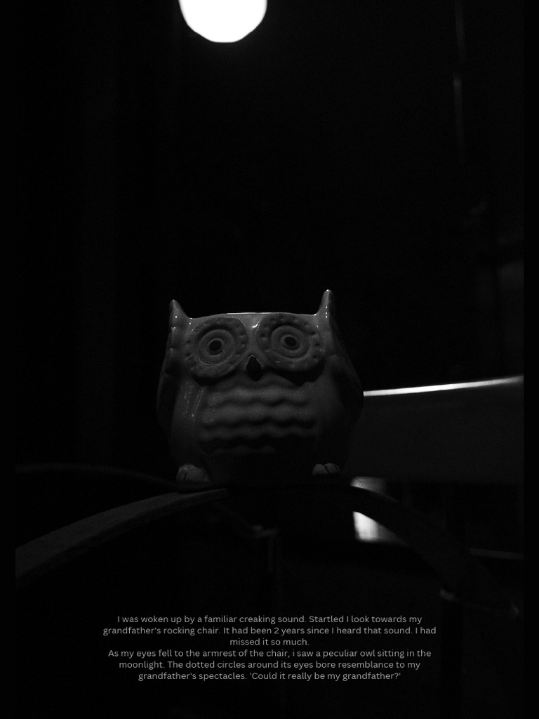 The Owl Story | PDF