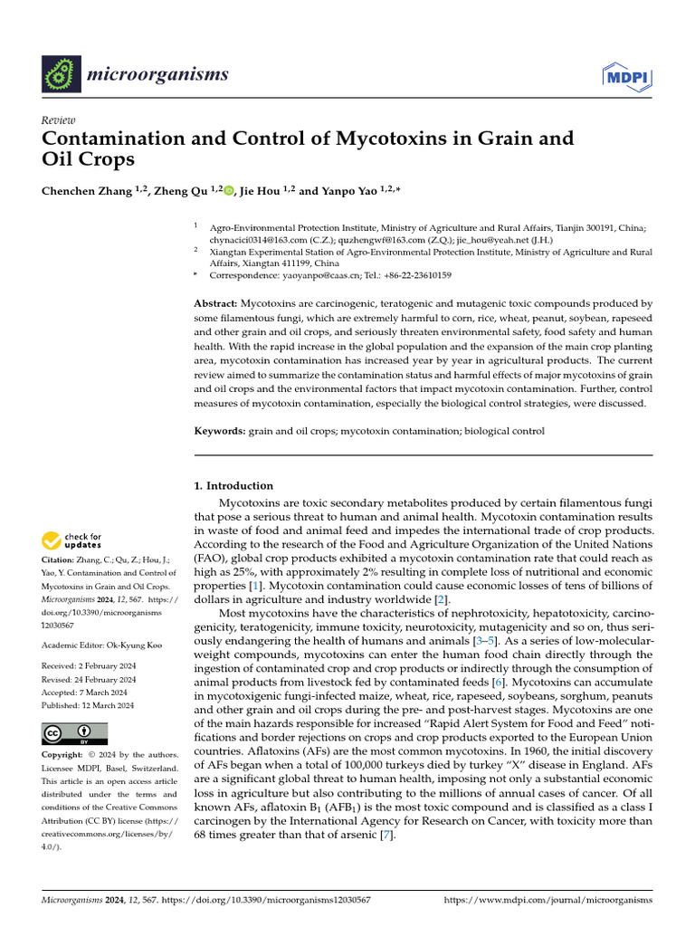 Contamination and Control of M | PDF | Mycotoxin | Fungus
