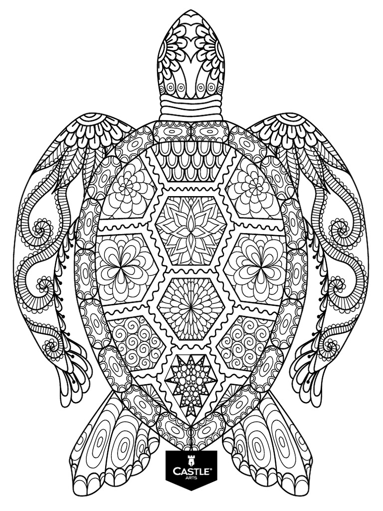 Col Sheet Turtle | PDF